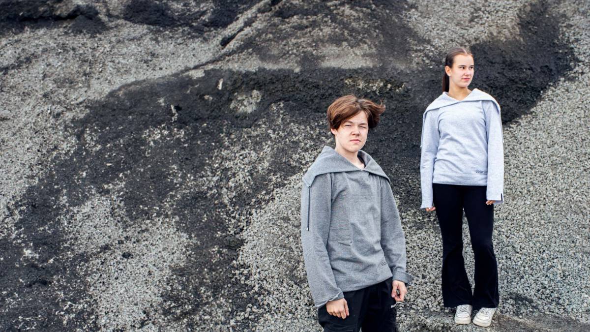 Kevääksi vaaleanharmaata - Violet Lions